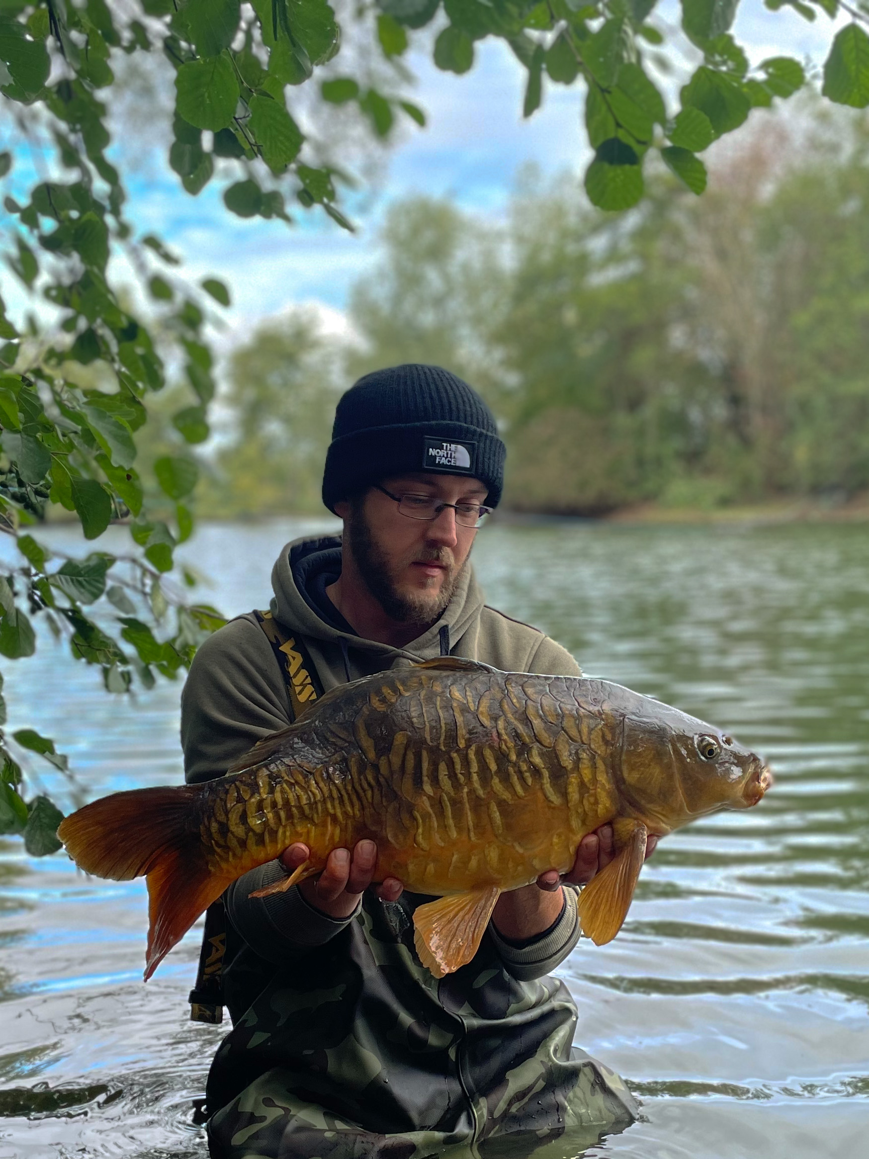 Scaly character | Total Carp